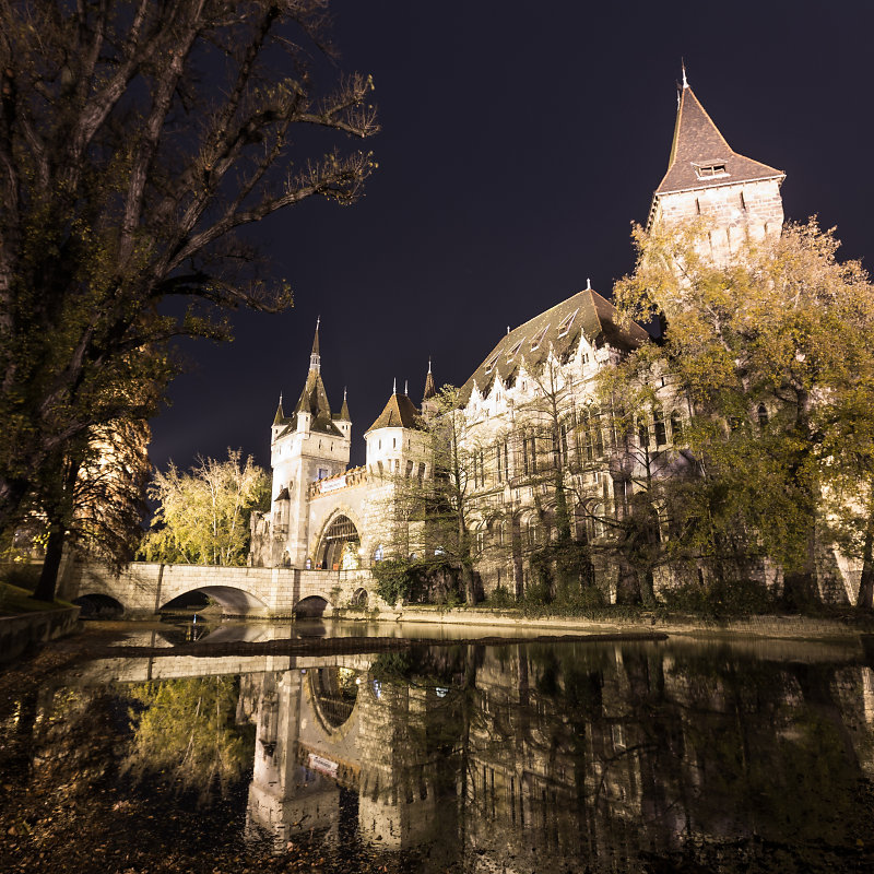 Epic castle - Olivier WENGER